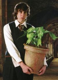 Is herbology a real thing?
