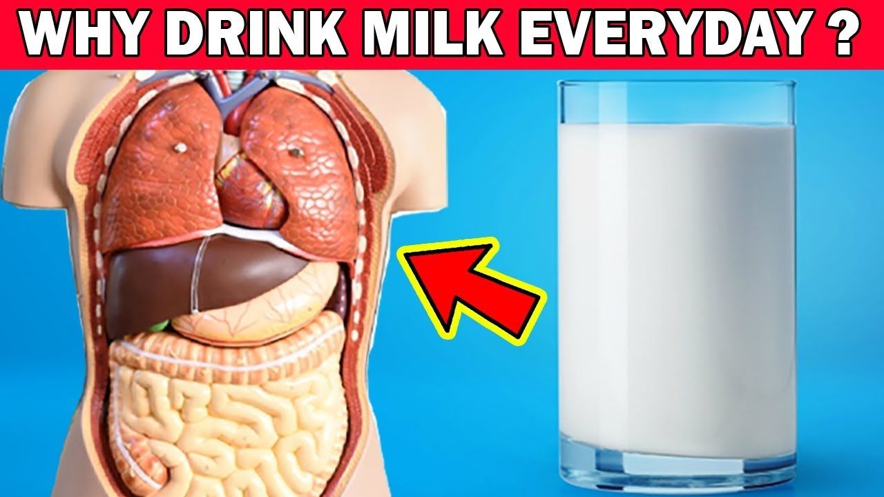 Is it bad to drink milk everyday?