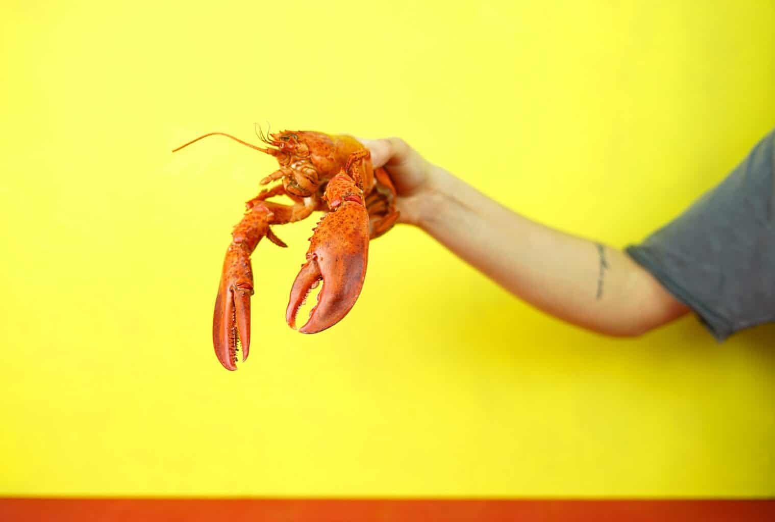 Is it bad to eat mushy lobster?