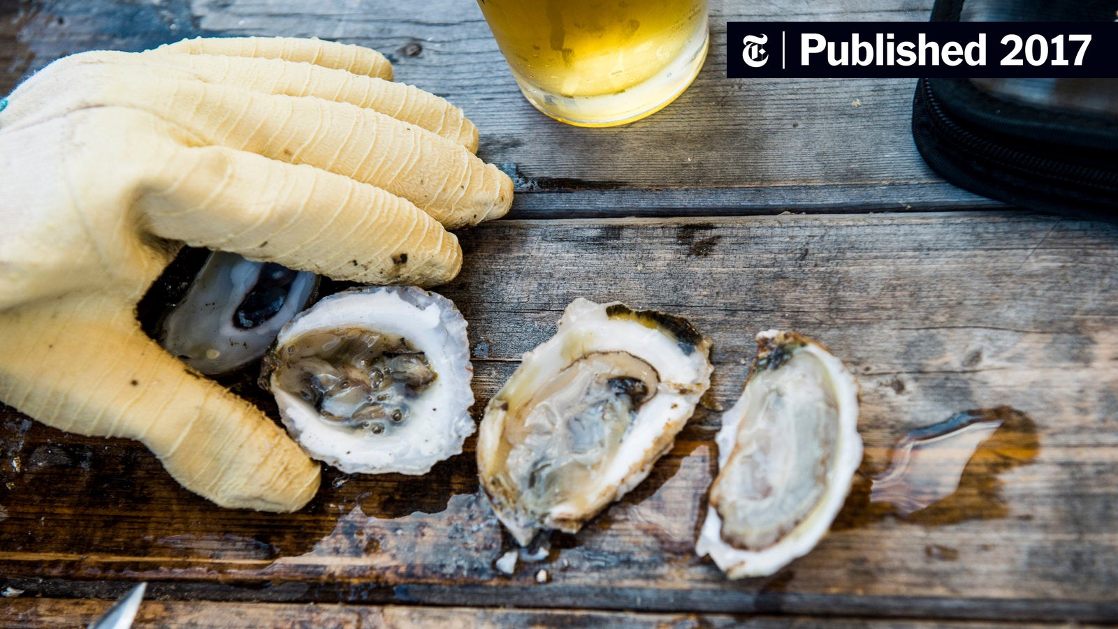 Is it bad to eat oysters in the summer?