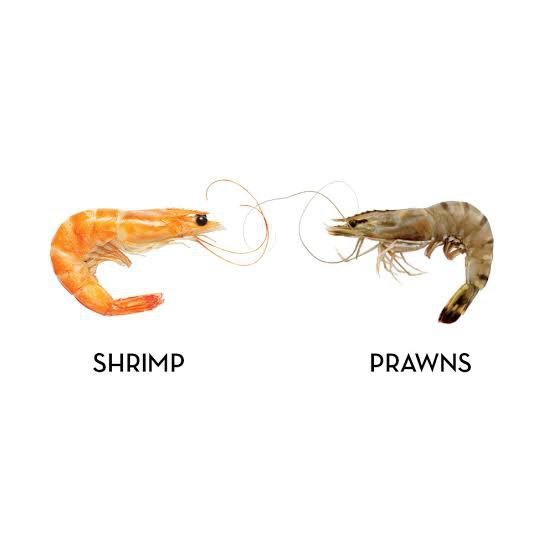 Is it bad to eat prawns everyday?