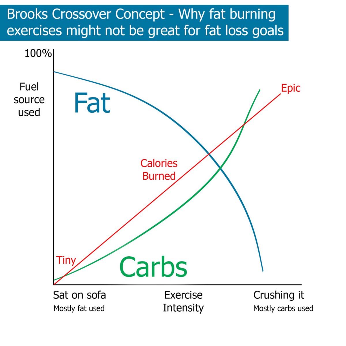 Is it better to burn fat or carbs during exercise?