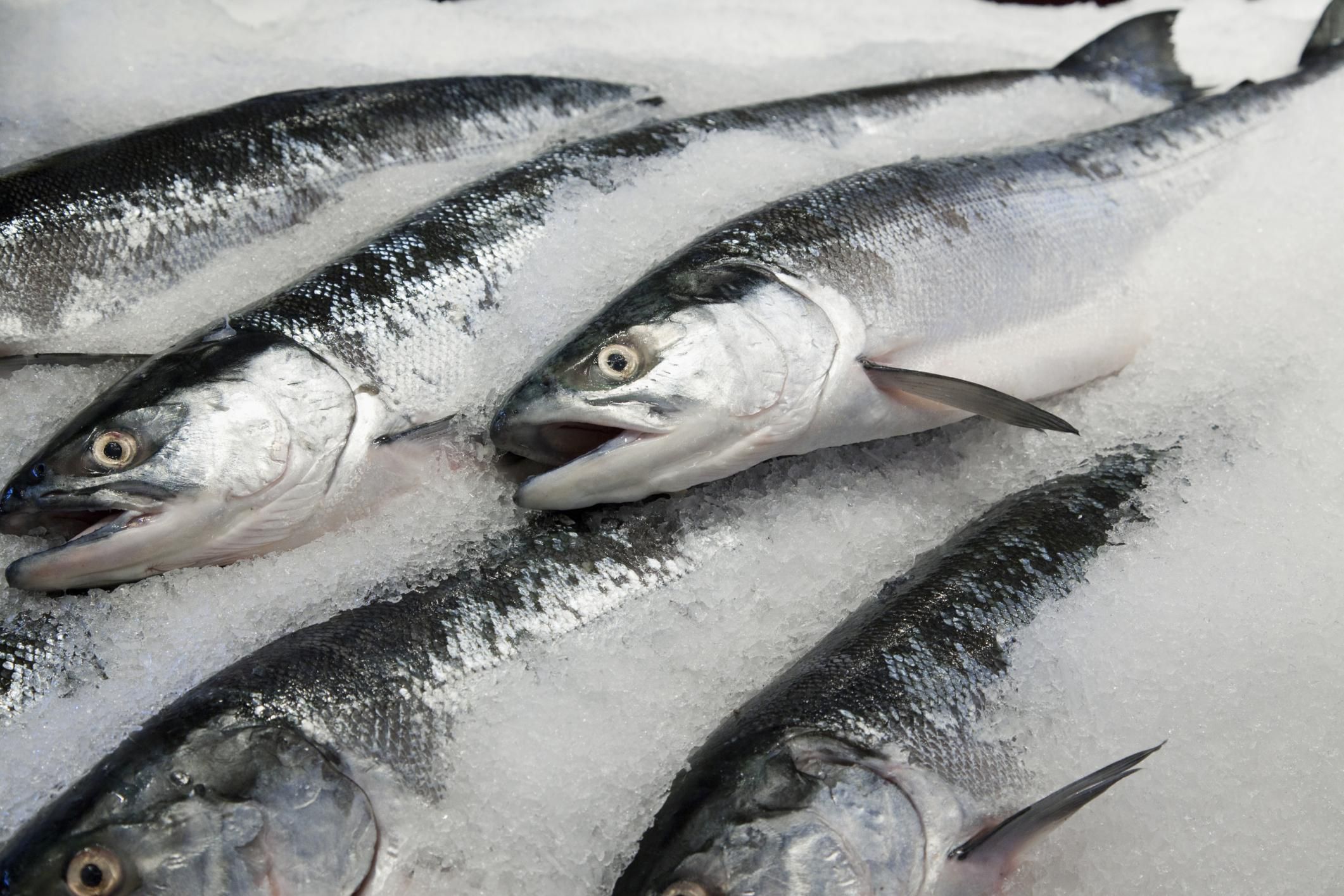 Is it better to buy frozen fish in the winter?