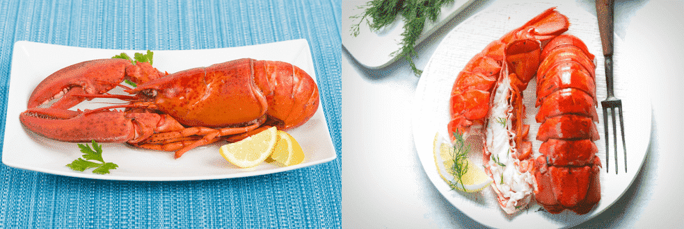 Is it better to buy whole lobster or lobster tail?