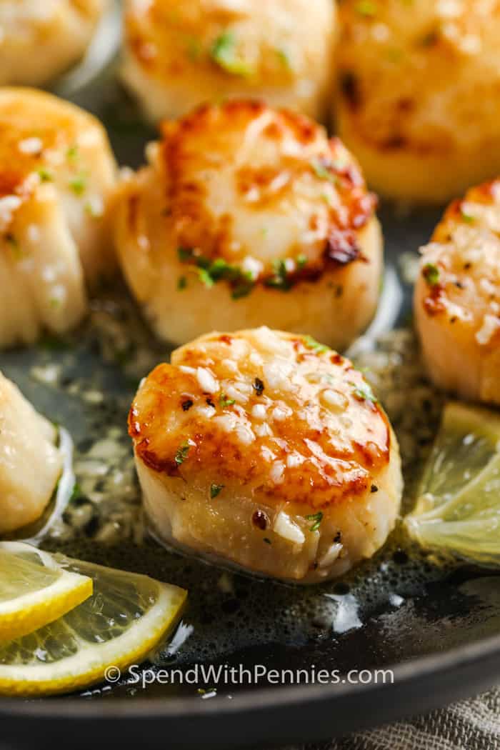Is it better to cook scallops from frozen?