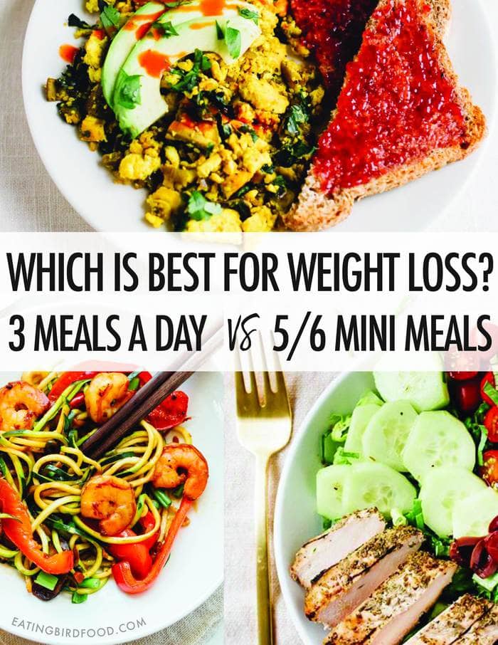 Is it better to eat 3 meals a day or 1?