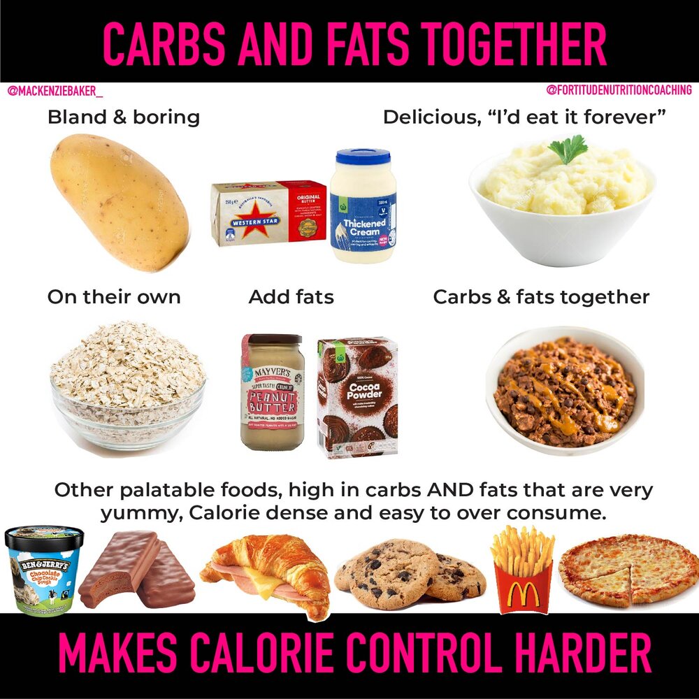 Is it better to eat fat or carbs?