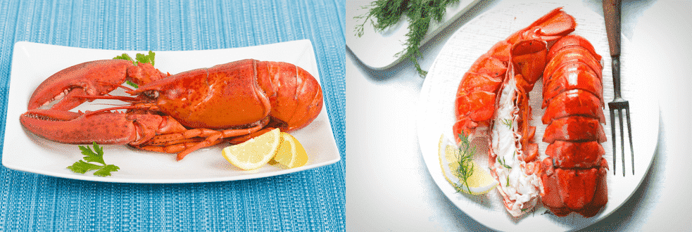 Is it better to get a whole lobster or a lobster tail?