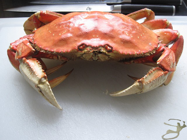 Is it cheaper to buy live crabs?