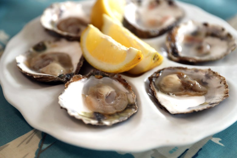 Is it ethical to eat oysters?