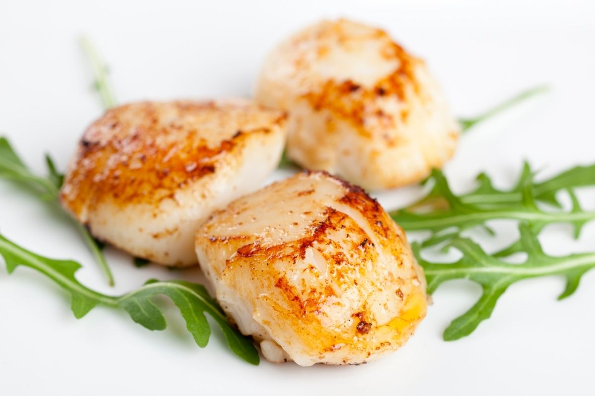 Is it ethical to eat scallops?