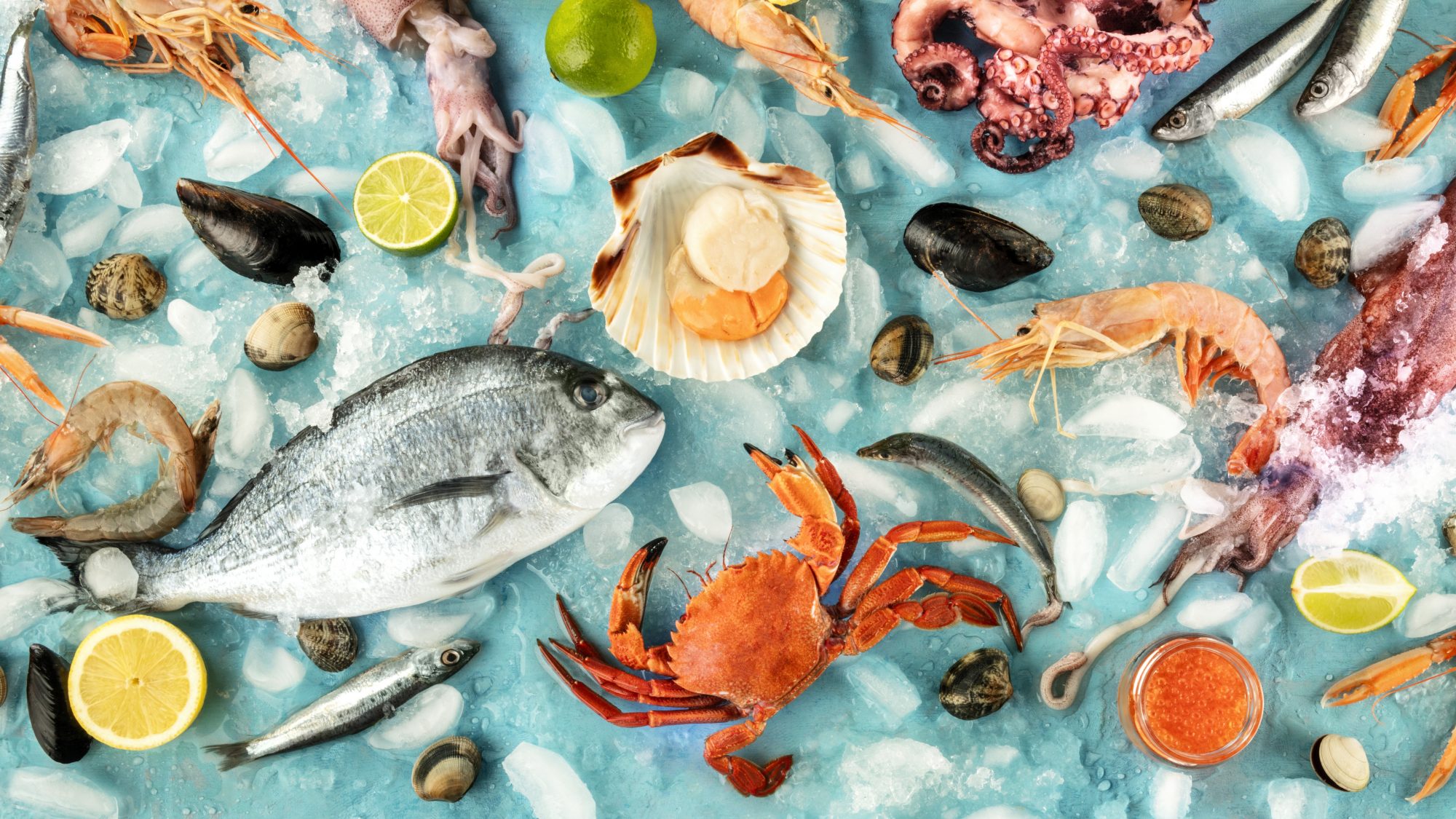 Is it good for your health to eat fish and shellfish daily?