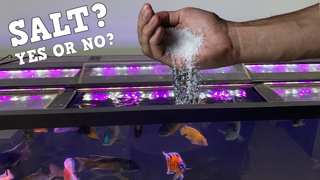 Is it good to add salt to freshwater aquarium?