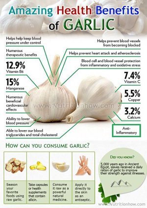 Is it good to eat garlic everyday?