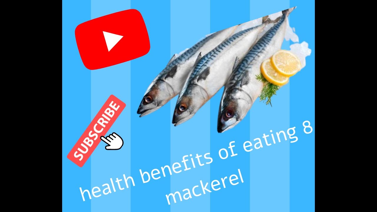 Is it good to eat mackerel everyday?