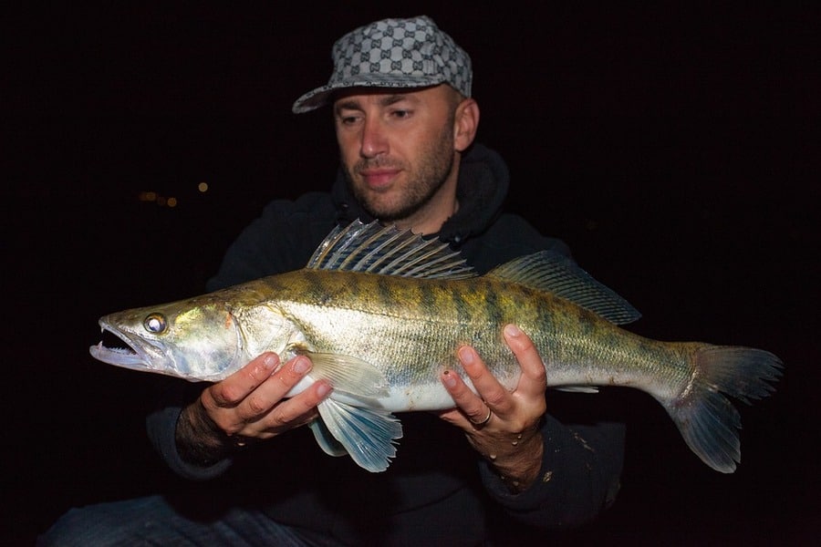 Is it harder to catch fish at night?
