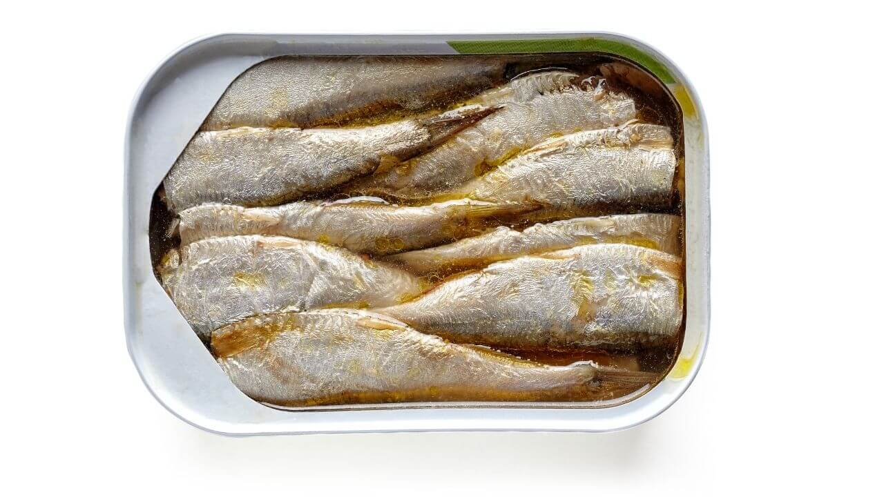 Is it healthy to eat canned sardines every day?