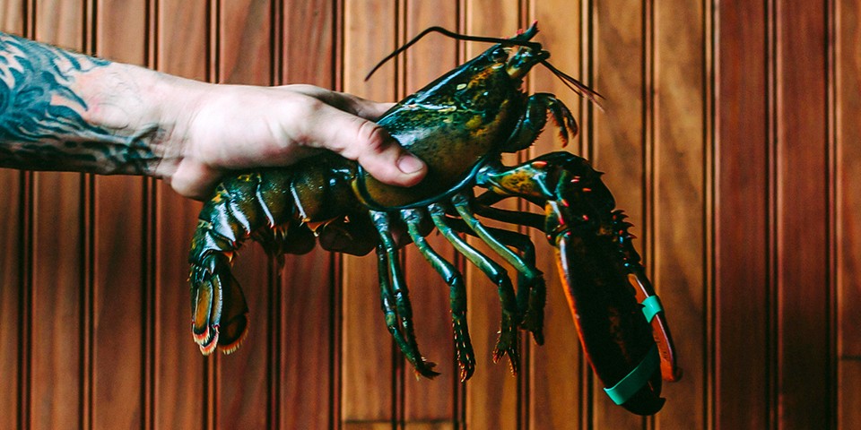 Is it illegal to boil lobsters alive in USA?