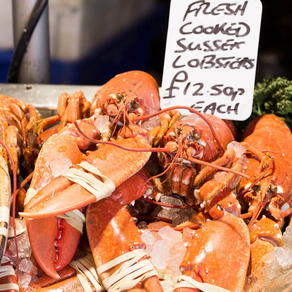 Is it legal to sell live lobster UK?