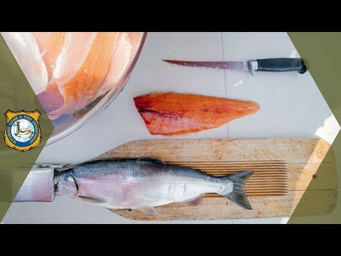 Is it OK to clean fish the next day?