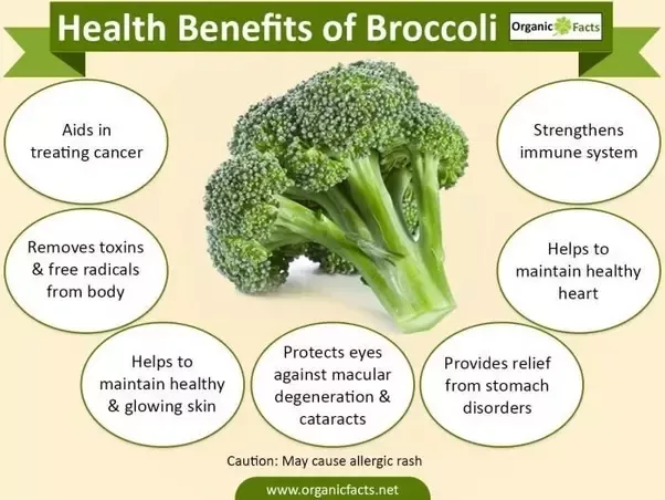 Is it OK to eat broccoli every day?