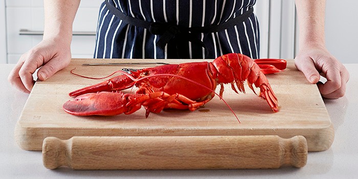 Is it OK to eat lobster cold?