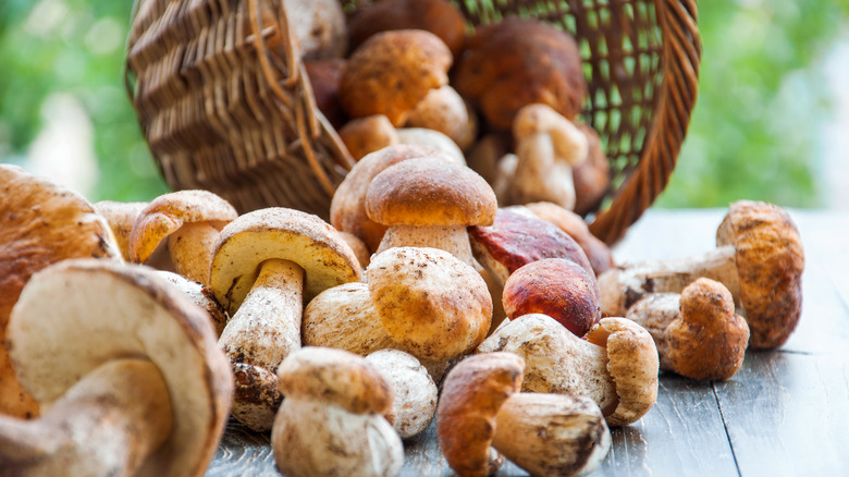 Is it OK to eat mushrooms every day?