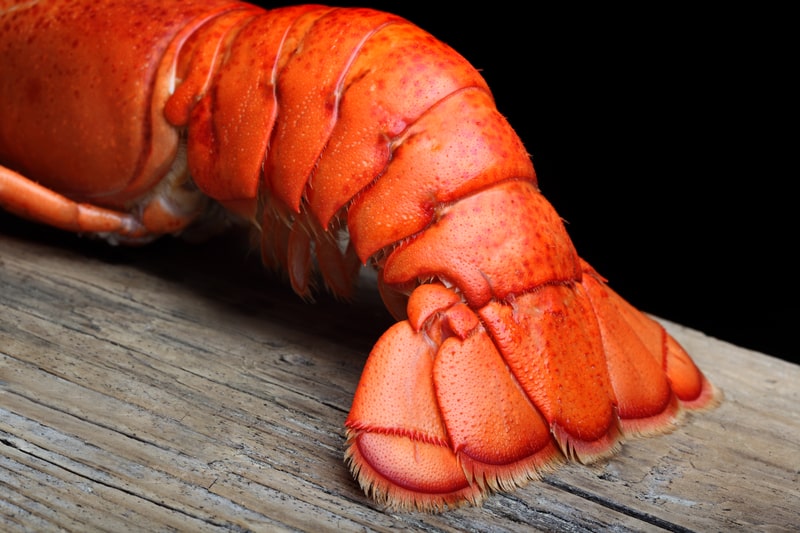 Is it OK to eat mushy lobster tail?