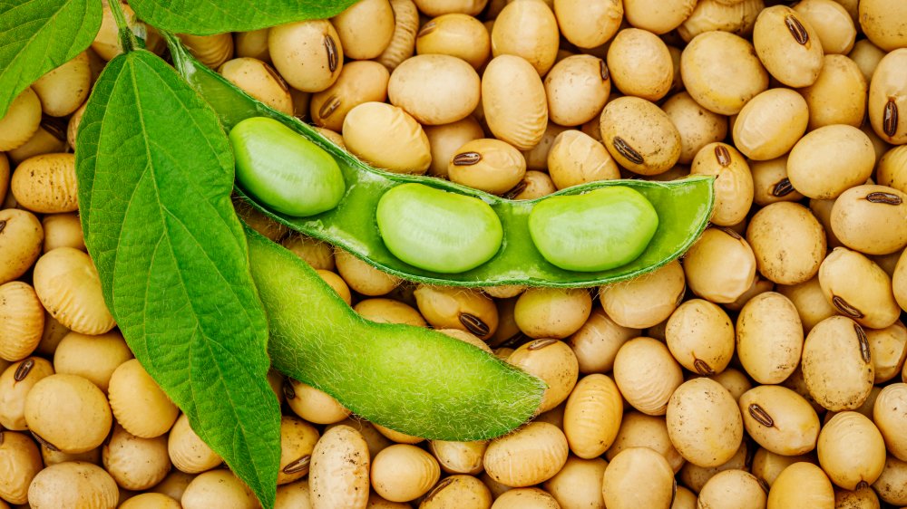 Is it OK to eat soy everyday?