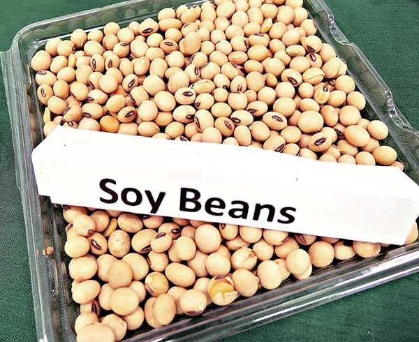 Is it OK to eat soy once a week?