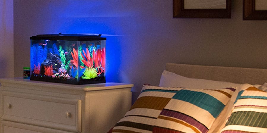 Is it OK to put fish tank in bedroom?