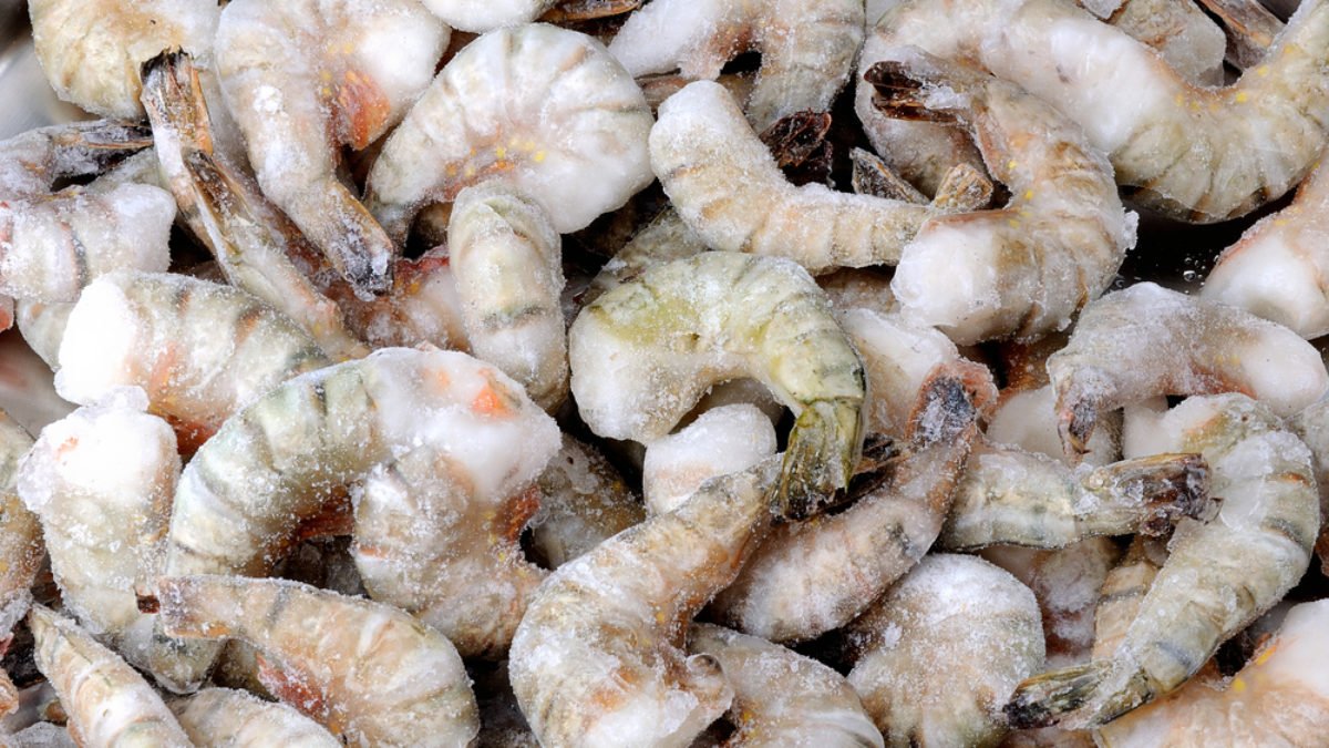 Is it okay to leave frozen shrimp in the fridge?