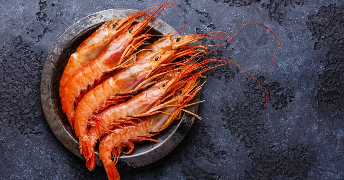 Is it safe to Chute prawns to kill bacteria?