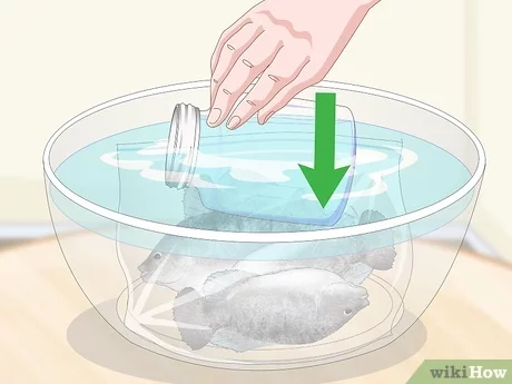 Is it safe to defrost fish in the sink?