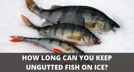Is it safe to eat a fish that has been frozen for 3 weeks without being gutted?