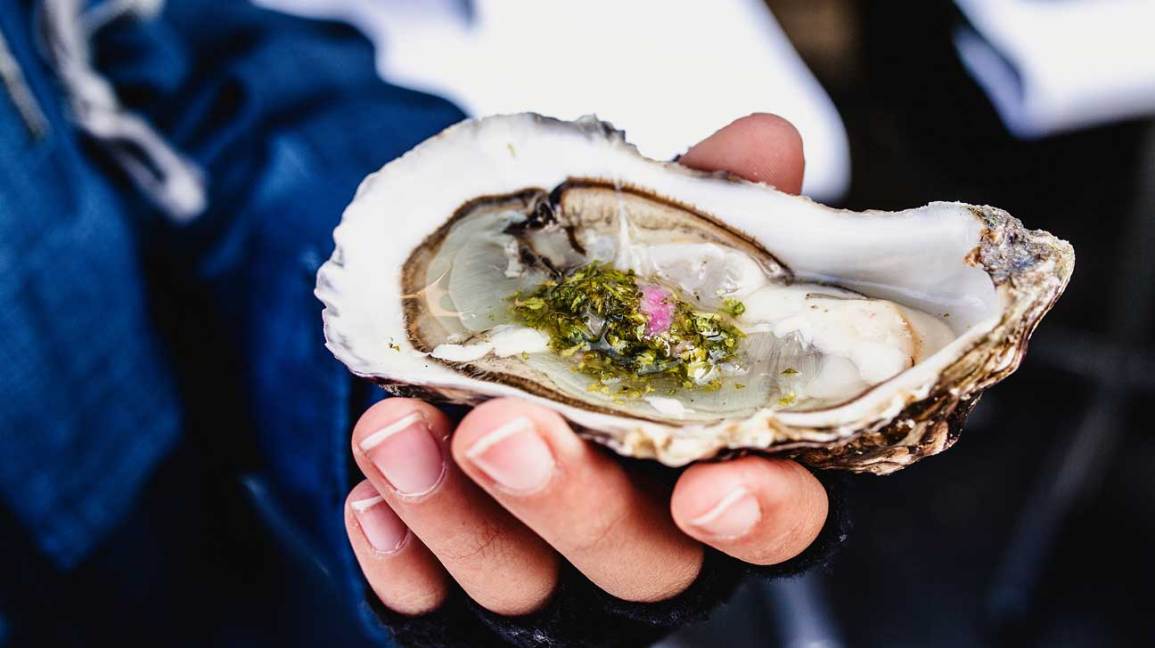 Is it safe to eat cooked oysters?