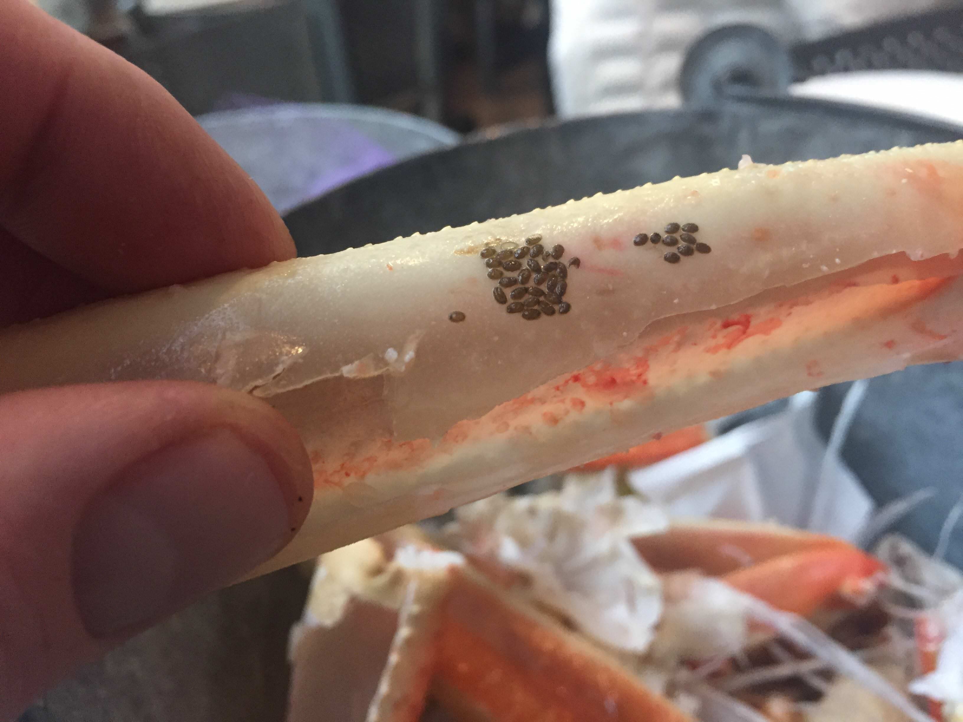 Is it safe to eat crab legs with leeches?