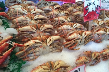 Is it safe to eat crab that smells like ammonia?