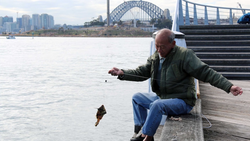 Is it safe to eat fish caught in Sydney Harbour?