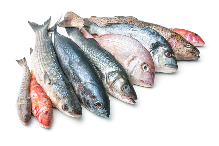 Is it safe to eat fish caught in the ocean?