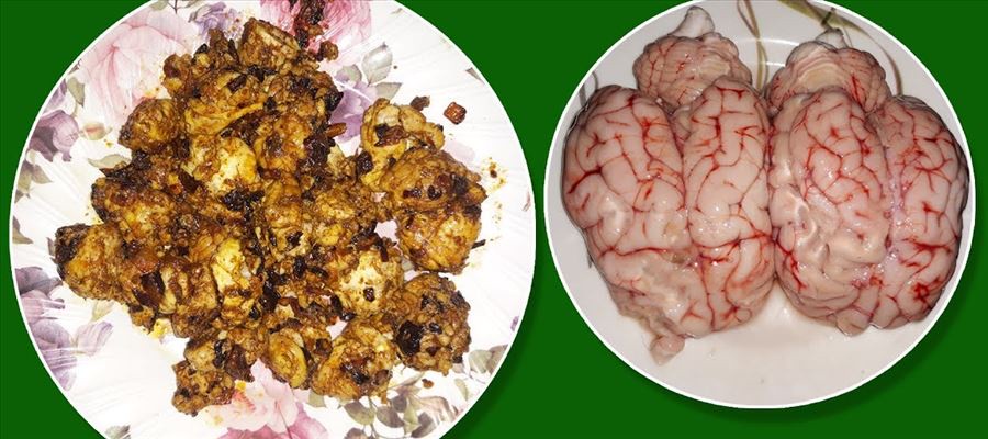 Is it safe to eat goat brain?