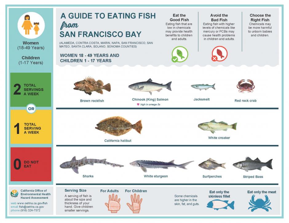 Is it safe to eat halibut out of the San Francisco Bay?