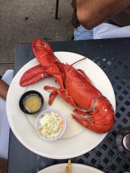 Is it safe to eat lobster?