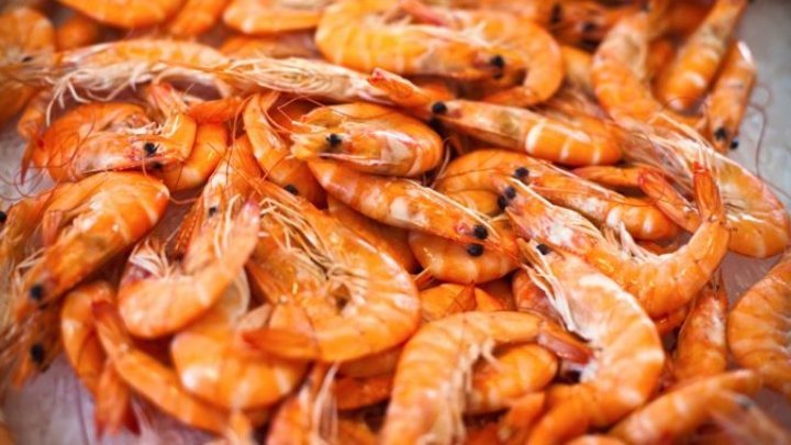 Is it safe to eat prawns this Christmas?