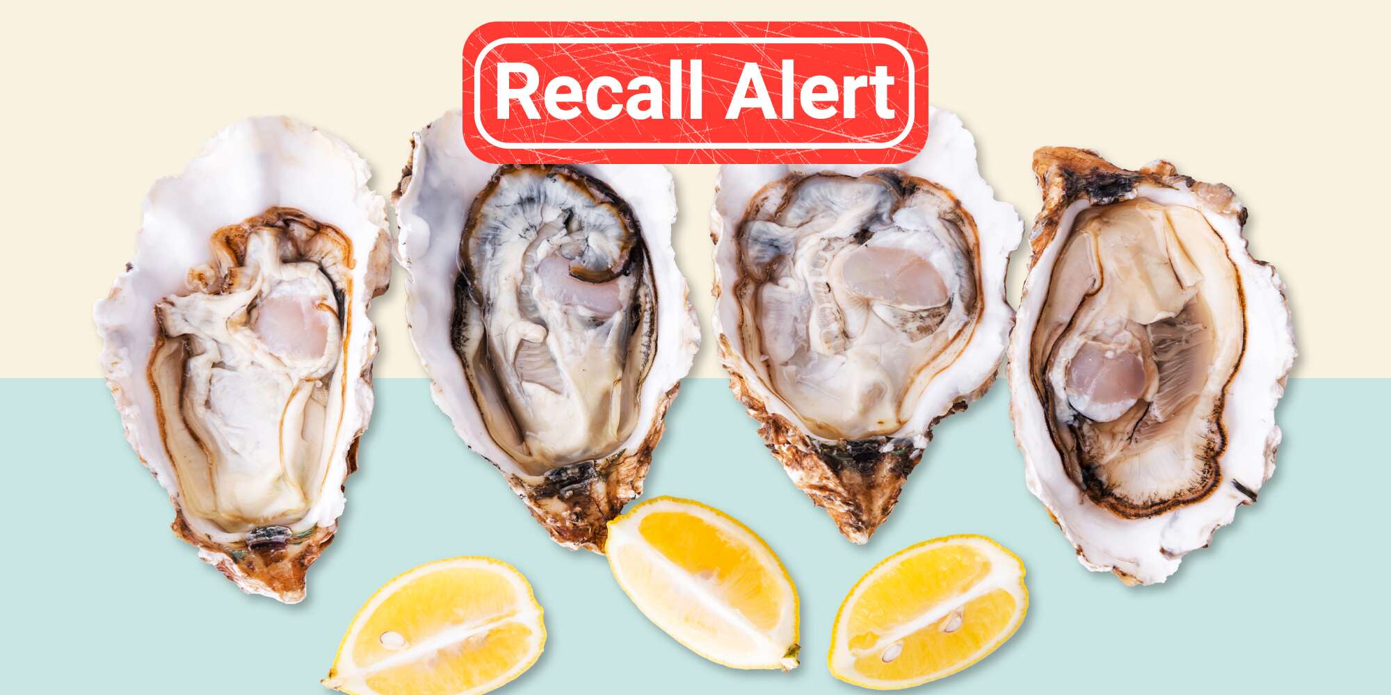 Is it safe to eat raw shellfish?