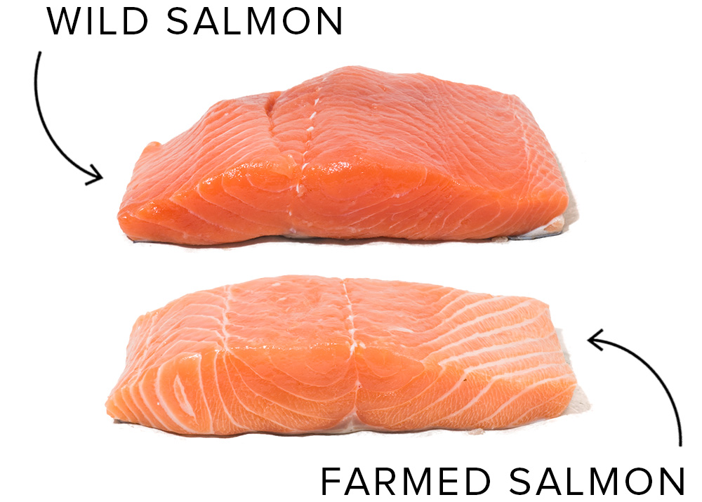 Is it safe to eat salmon at 125 degrees?