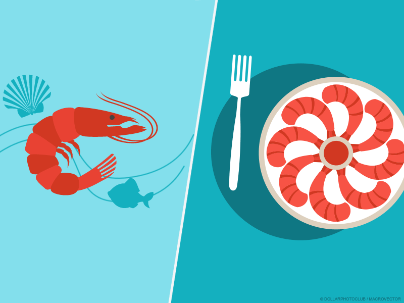 Is it wrong to eat seafood?