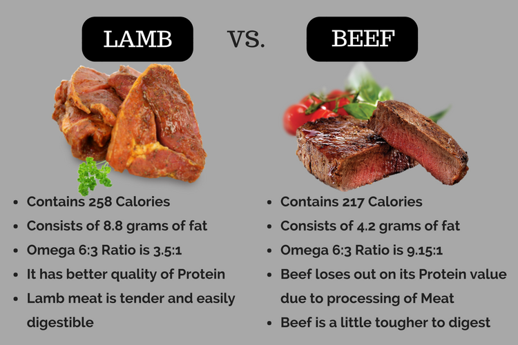 Is Lamb considered red meat?