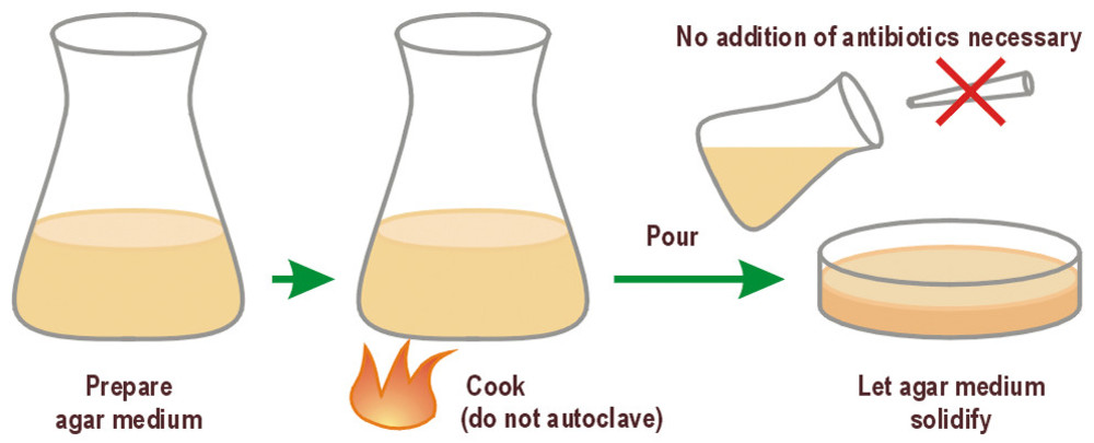 Is LB a nutrient agar?