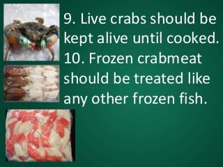 Is Live crabs should be kept alive until cooked?